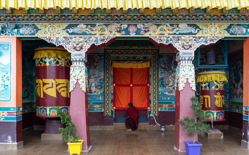 YTDC Sikkim - Yangang: Where the Wild Meets the Divine.